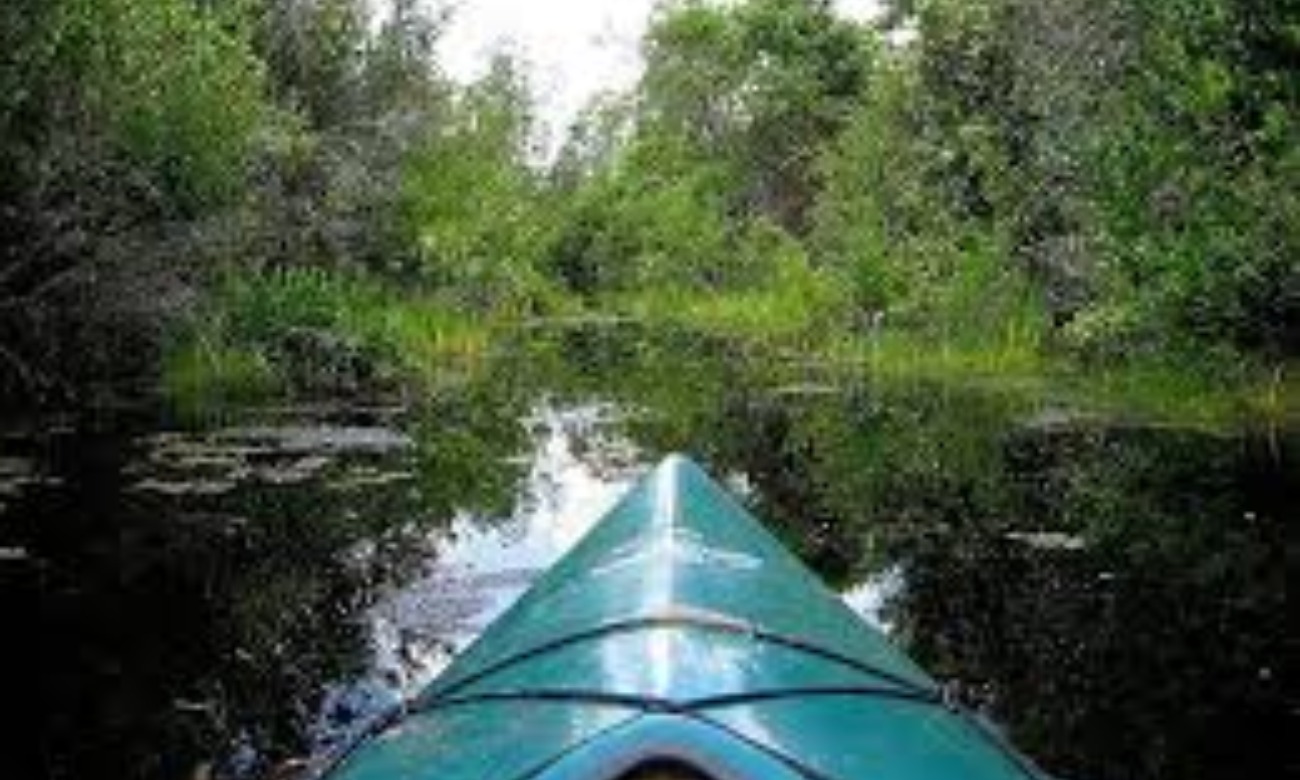 RCSE Swamp Tour | Tulane University Events