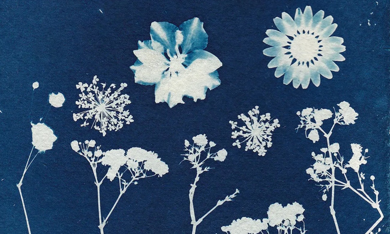 Cyanotype Workshop | Tulane University Events